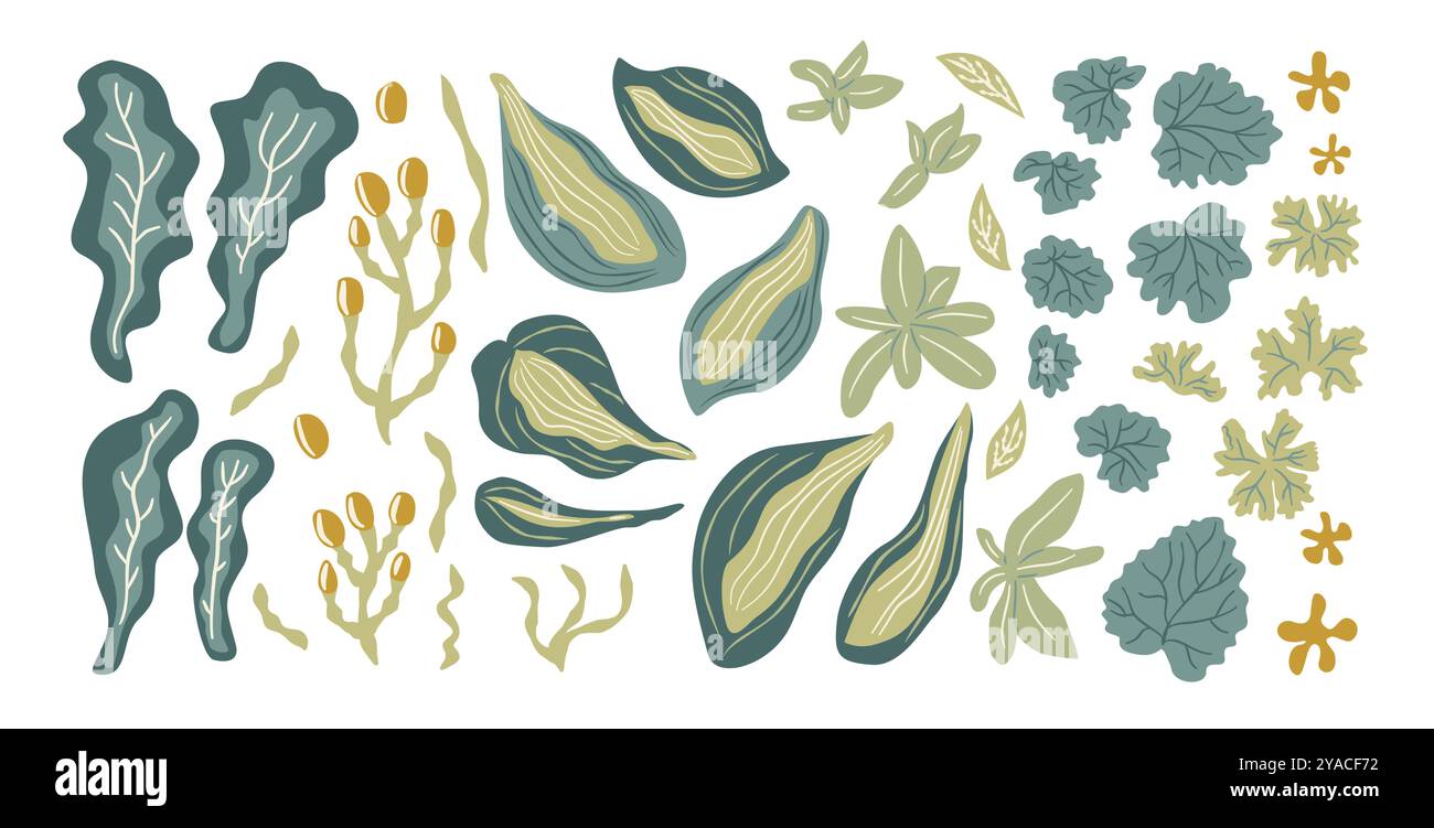 Colorful assortment of stylized leaves and plants in various shapes and ...