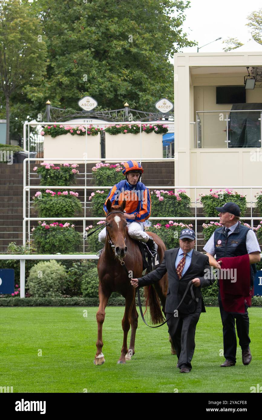 Mr m tabor hi-res stock photography and images - Alamy