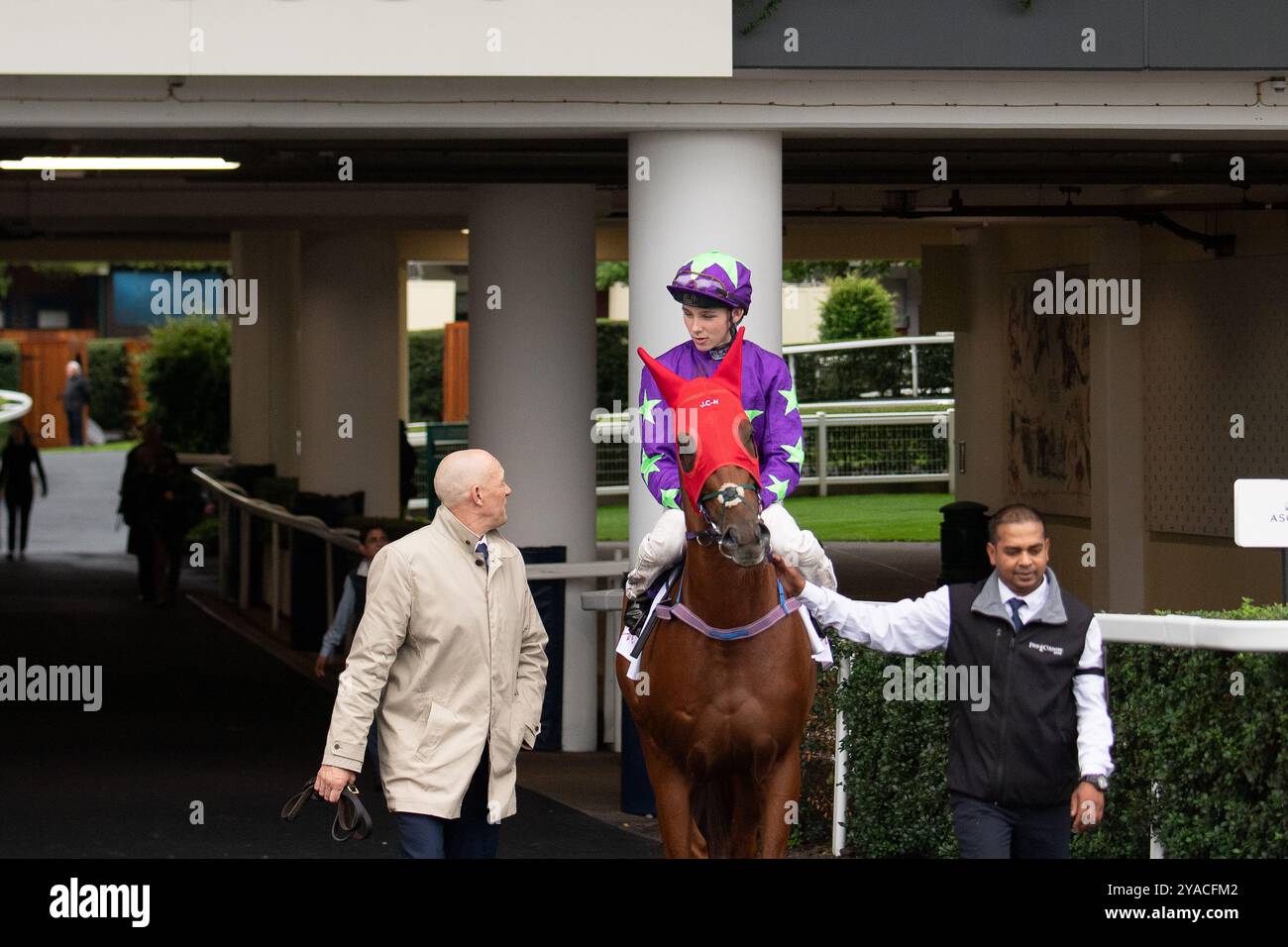 Fiona winning live hi-res stock photography and images - Alamy