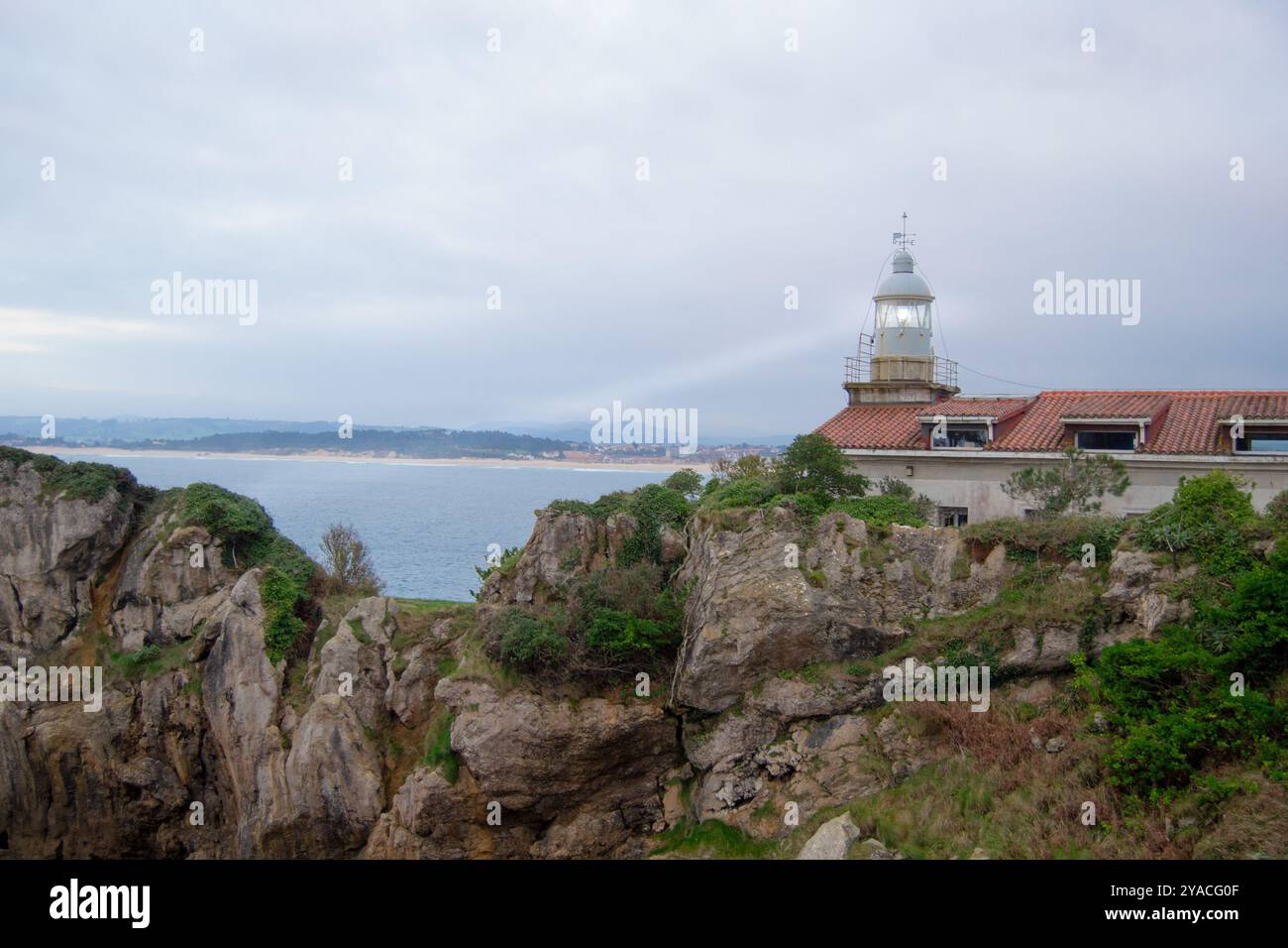 Cerda hi-res stock photography and images - Alamy