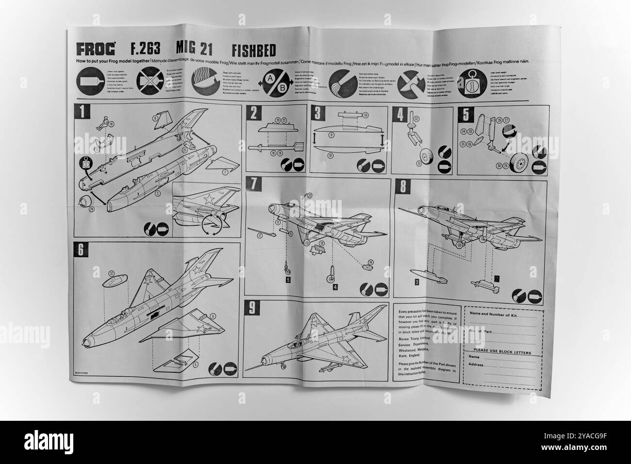 Frog Black and White Stock Photos & Images - Alamy