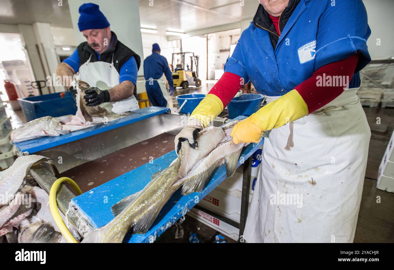 See fish working hi-res stock photography and images - Alamy