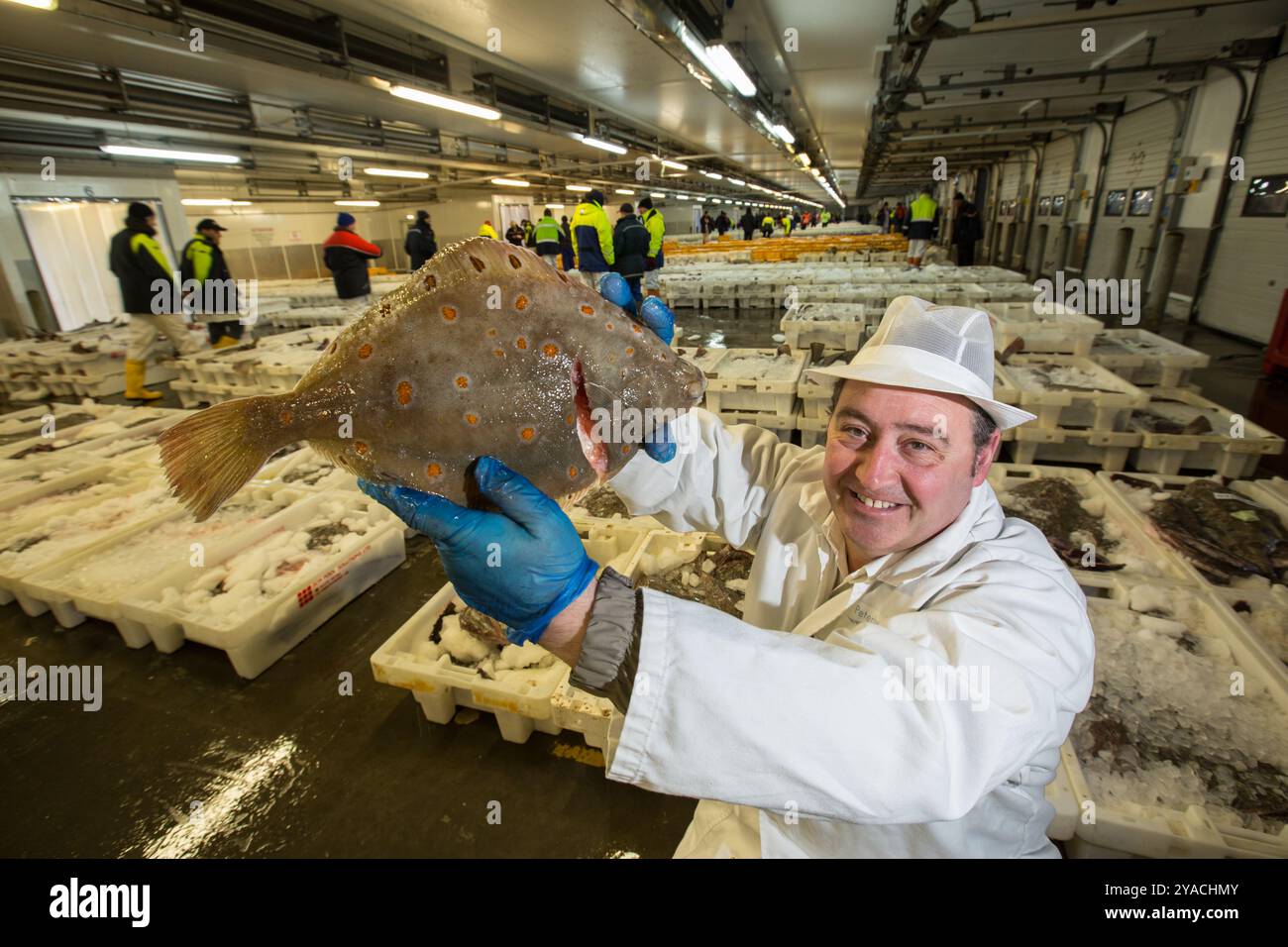 Jimmy Buchan, former fisherman and star of the Trawlermen series, who ...