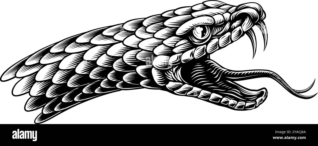 Snake Head Woodcut Vintage Etched Woodcut Style Stock Vector Image ...
