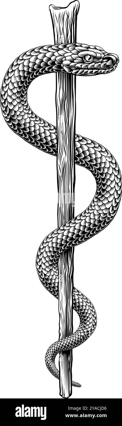 Rod of Asclepius Caduceus Medical Doctor Symbol Stock Vector Image ...