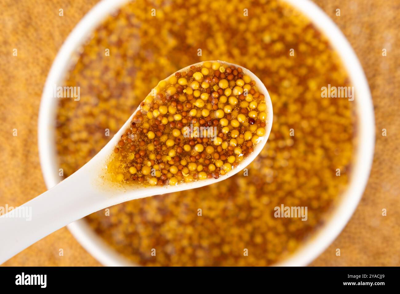 Traditional French Dijon mustard in a spoon on a white background Stock ...