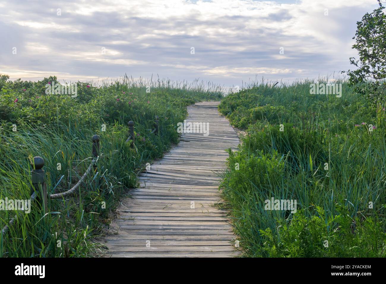 wooden boardwalk on coastal nature trail Stock Photo - Alamy