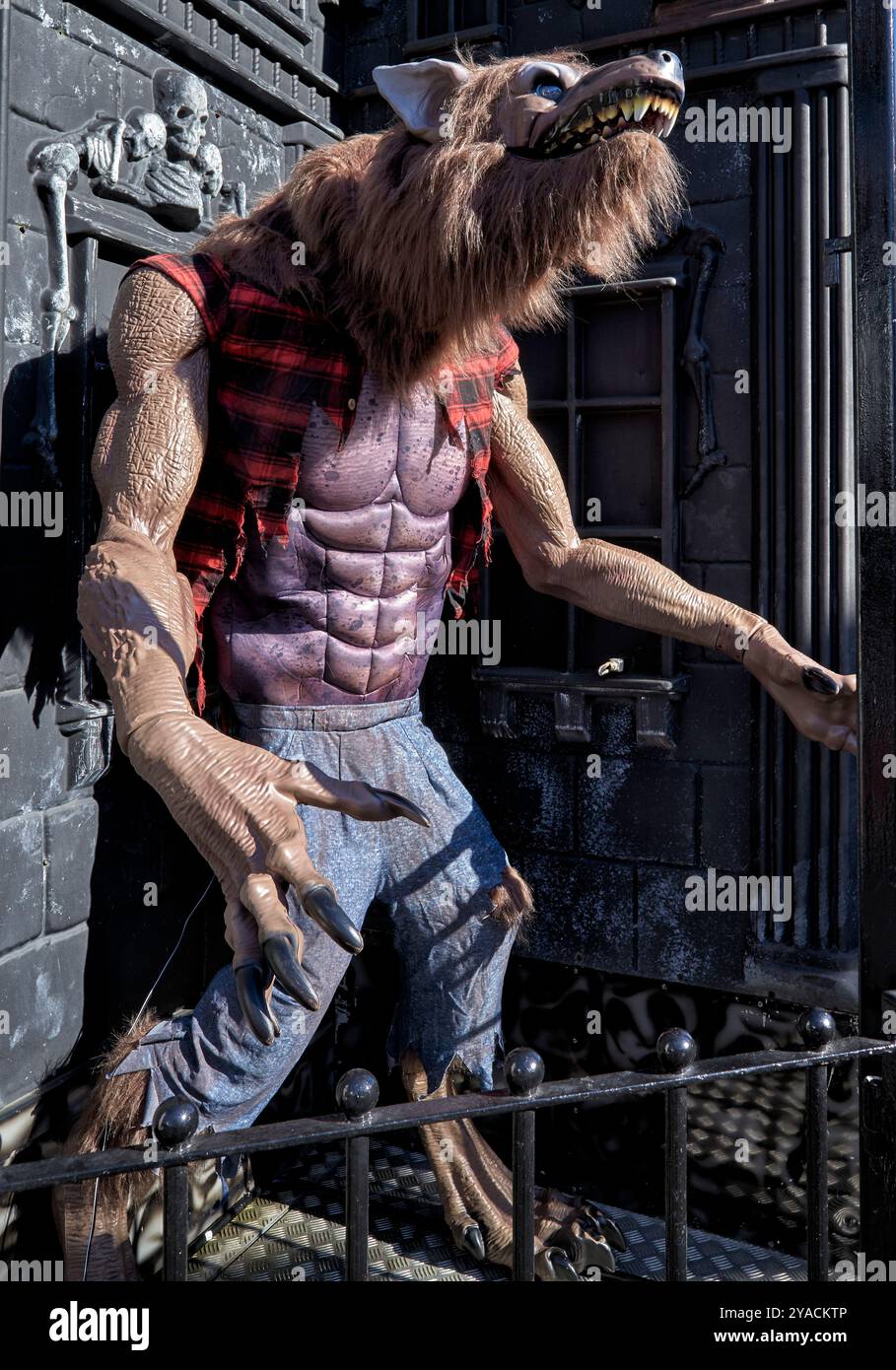 Werewolf statue at a fairground house of terror. England UK Stock Photo ...