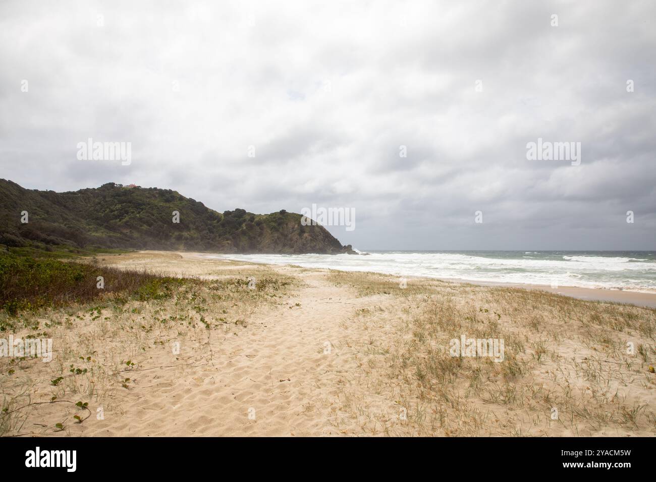Cape byron marine park hi-res stock photography and images - Alamy