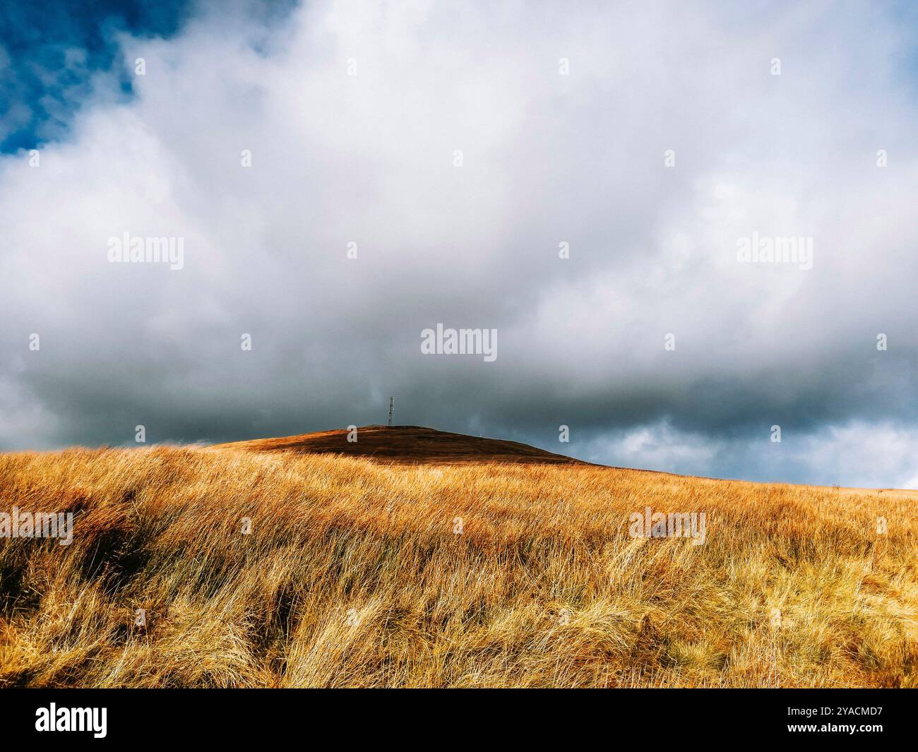 Divis and black mountain hi-res stock photography and images - Alamy