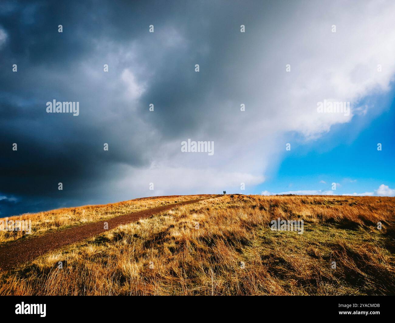 Divis and black mountain hi-res stock photography and images - Alamy