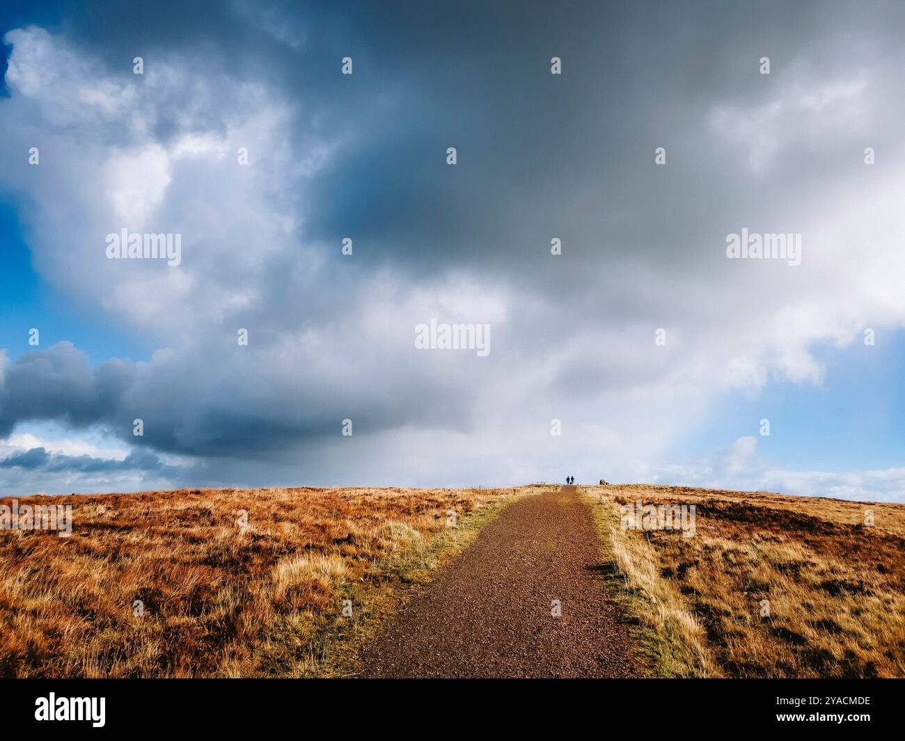 Divis and Black Mountain Nature Trail, Belfast Stock Photo - Alamy