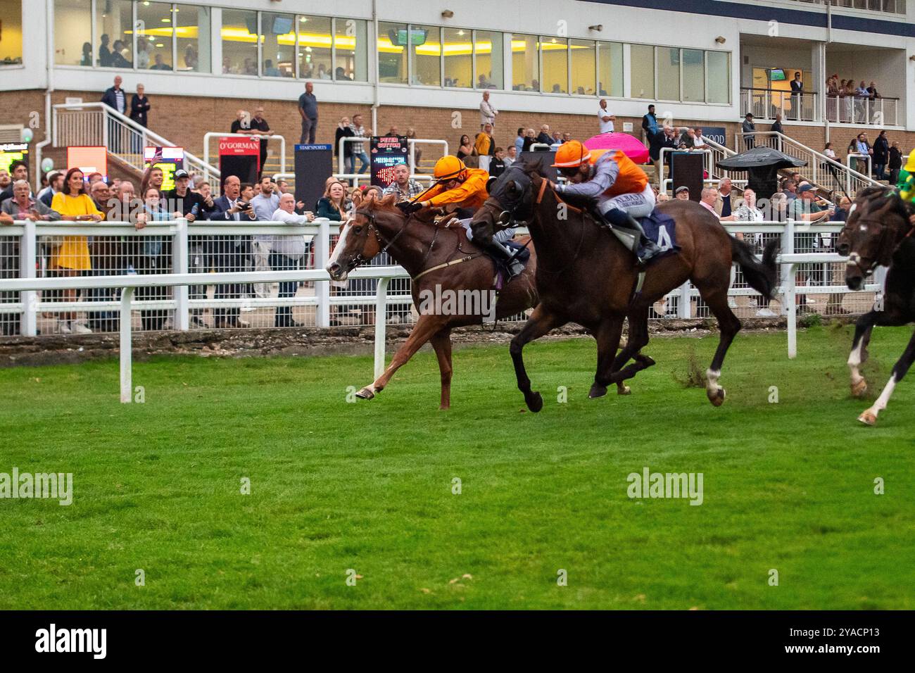 Windsor, Berkshire, UK. 2nd September, 2024. JUNGLE RUN (No 4) ridden ...