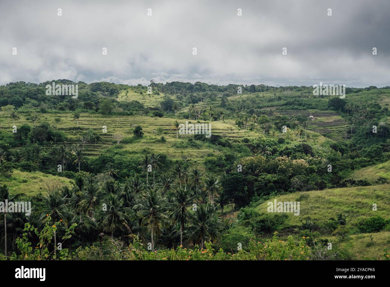 Discover the inland areas covered of green vegetation in Nusa Penida ...