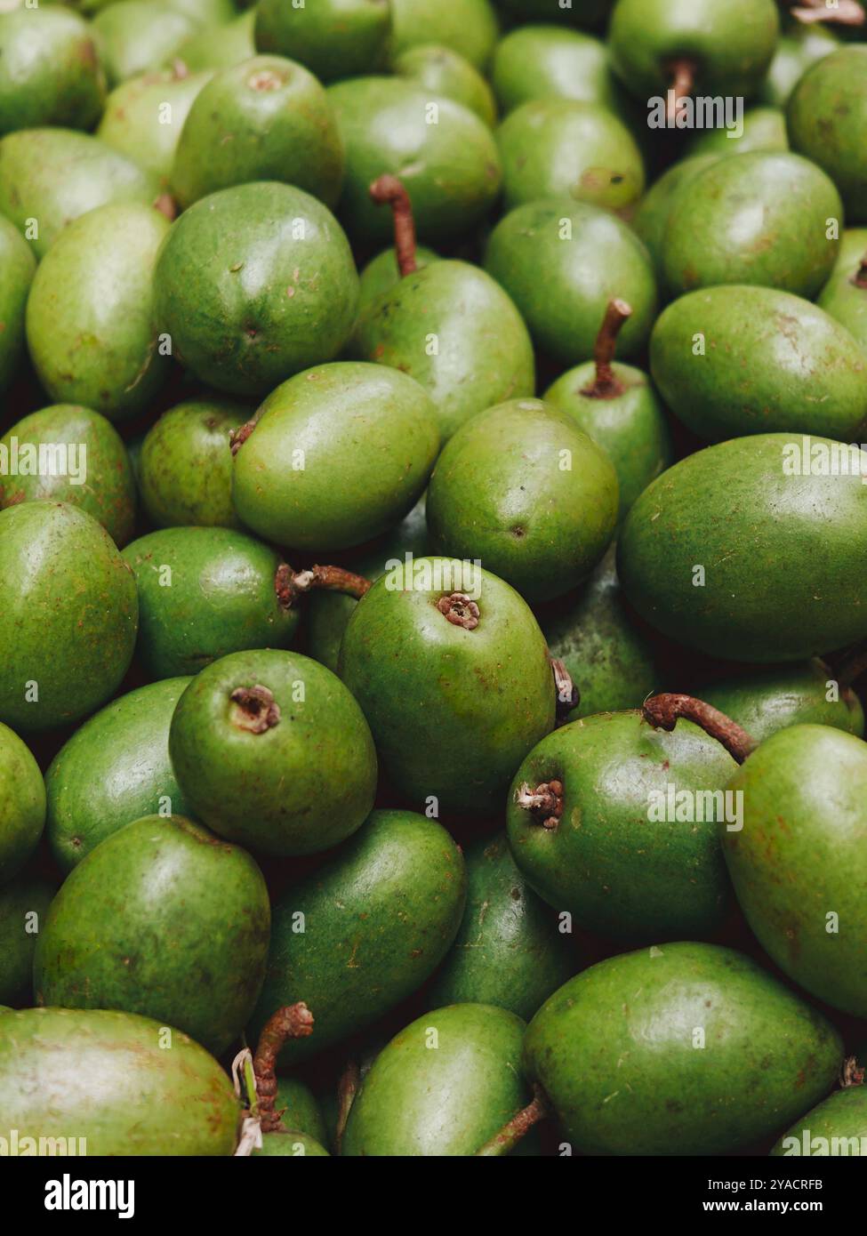 Fresh green hog plum hi-res stock photography and images - Alamy
