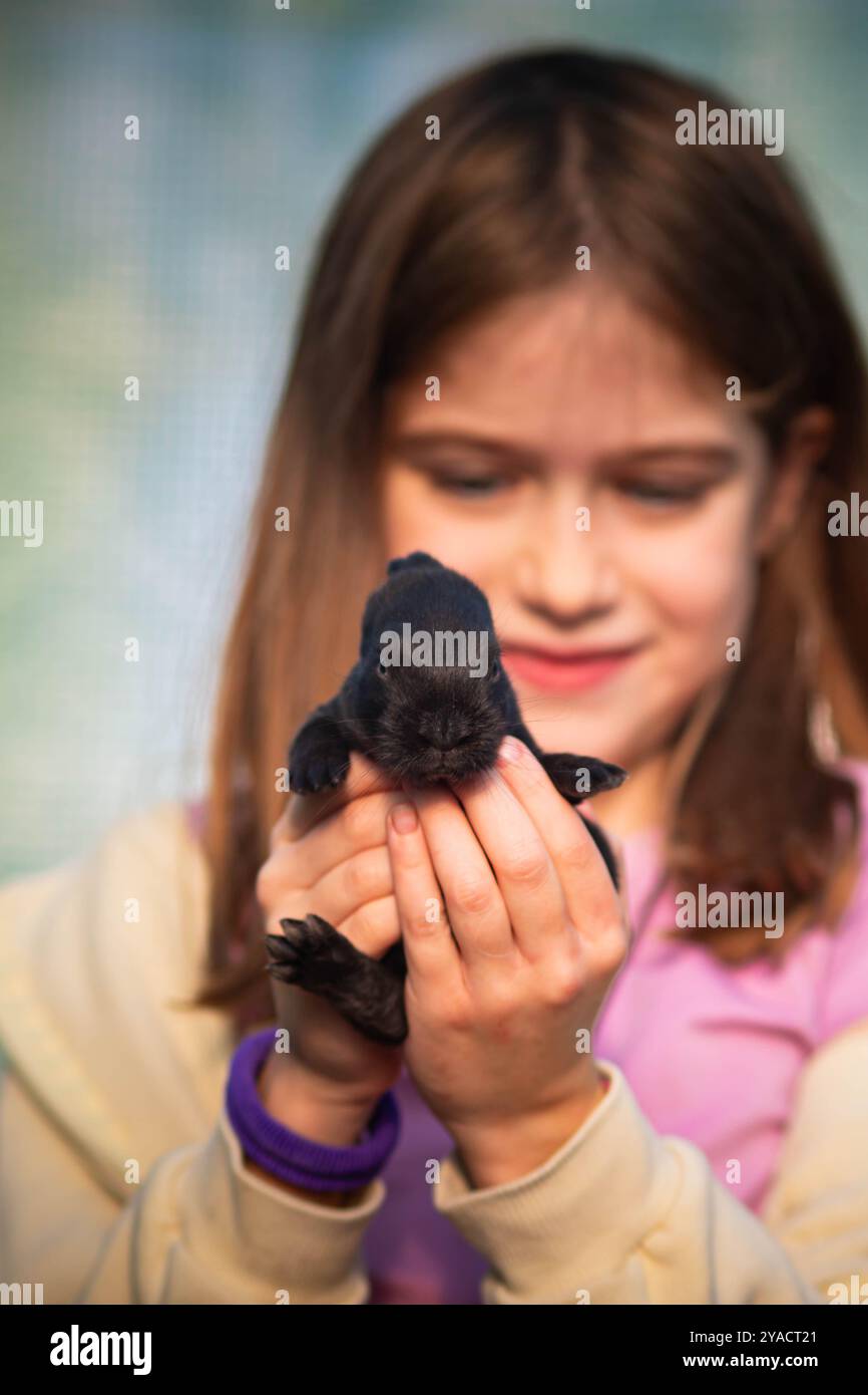 Caucasian child girl smiling while holding a black baby rabbit in her ...