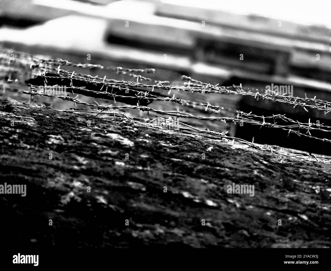 Wire net metal wall hi-res stock photography and images - Alamy