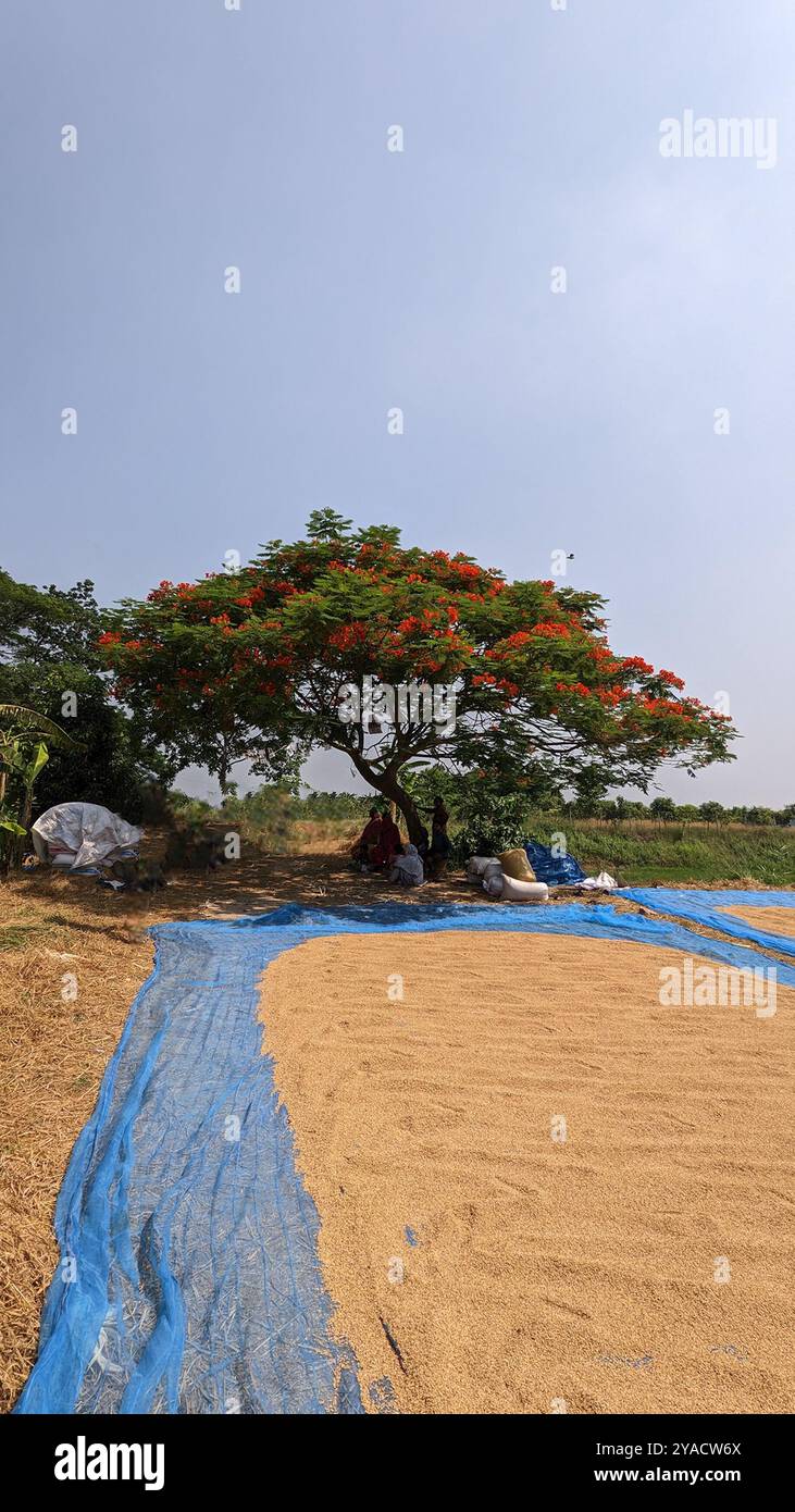 Village farming land hi-res stock photography and images - Alamy