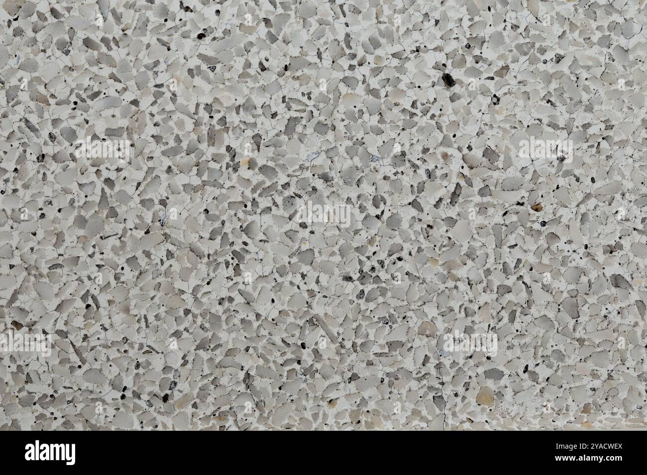The terrazzo surface; characterized by its mosaic-like pattern of stone ...