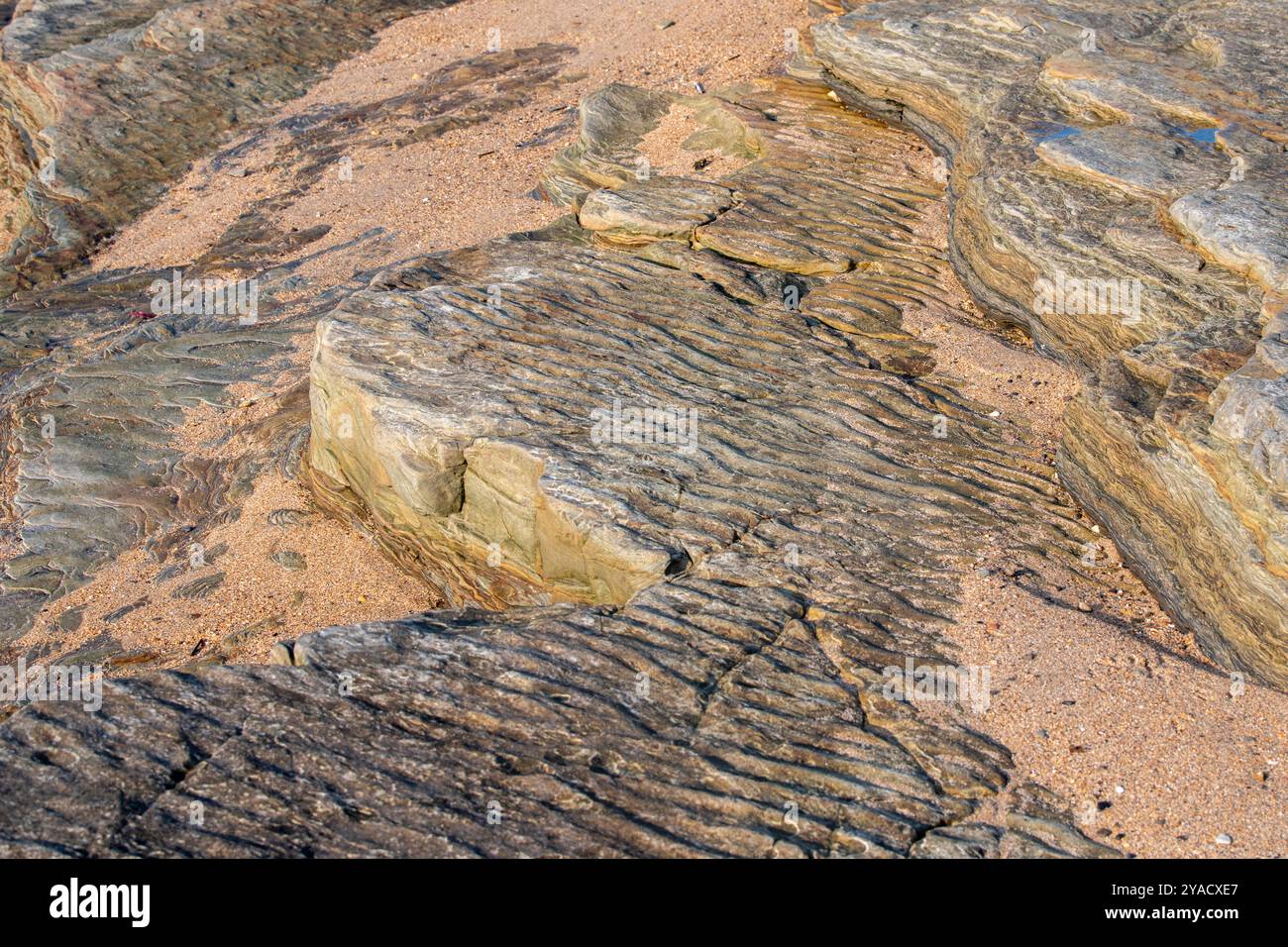 Fossilised ripples exposed Stock Photo - Alamy