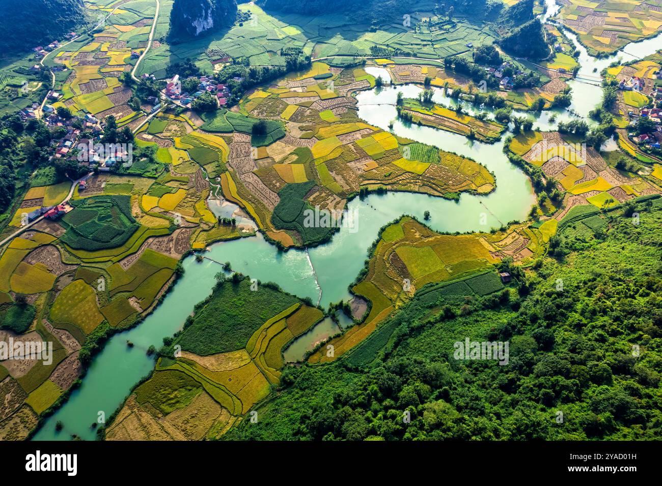 Aerial view of Winding turquoise river among the rice paddy field in countryside at Phong Nam ...
