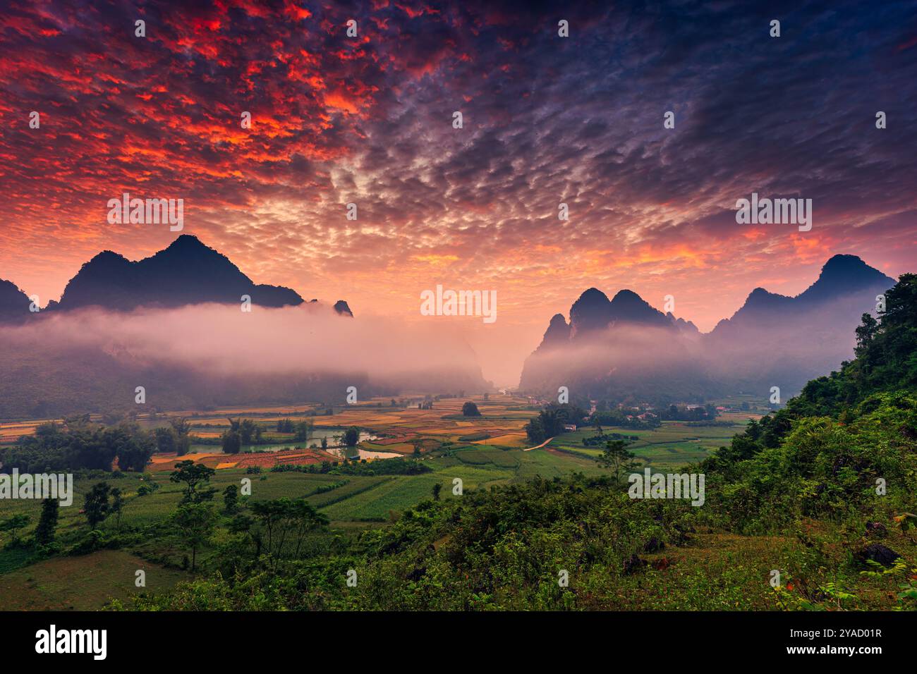 Dramatic landscape of vibrant sunrise over mountain range with foggy ...