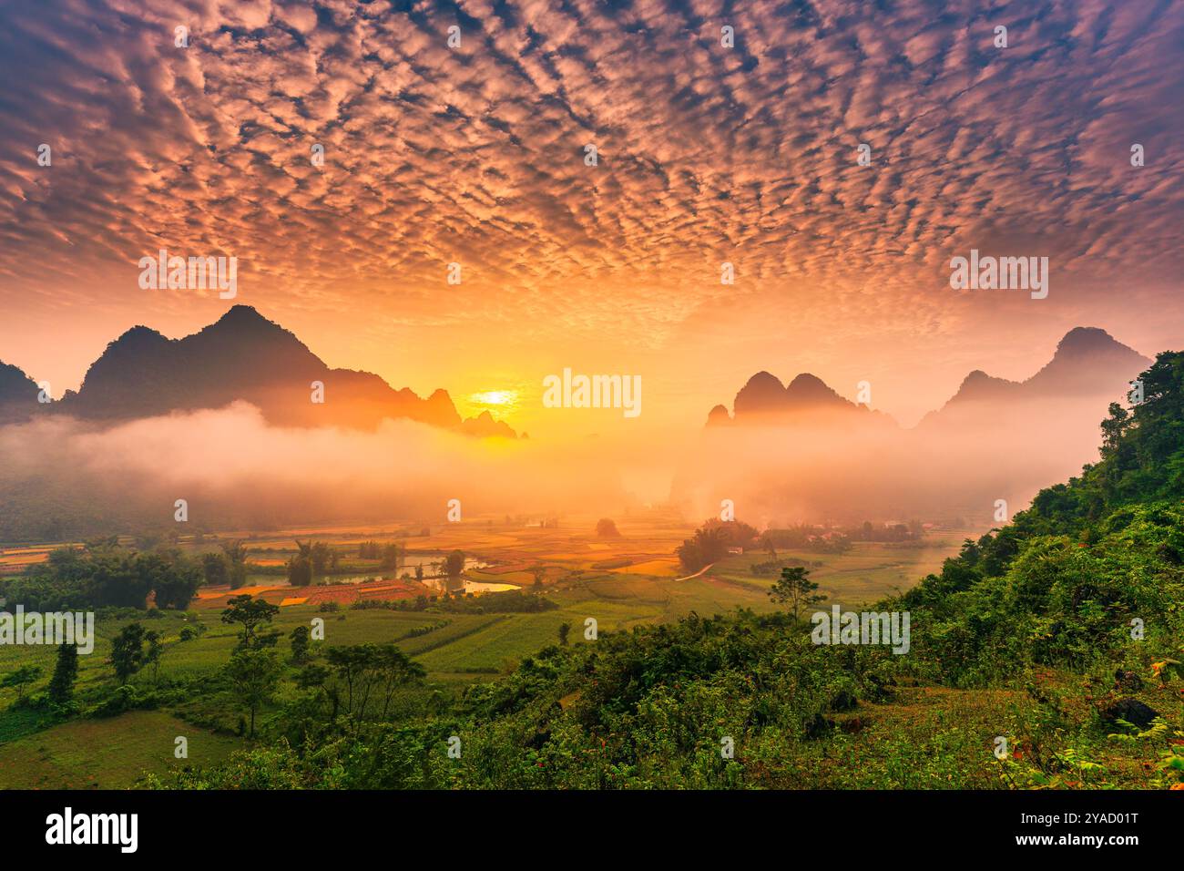Dramatic landscape of vibrant sunrise over mountain range with foggy ...