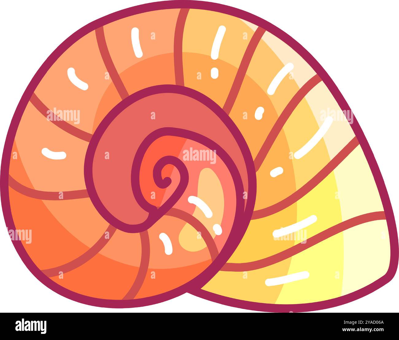 Shell showcases unique colors hi-res stock photography and images - Alamy