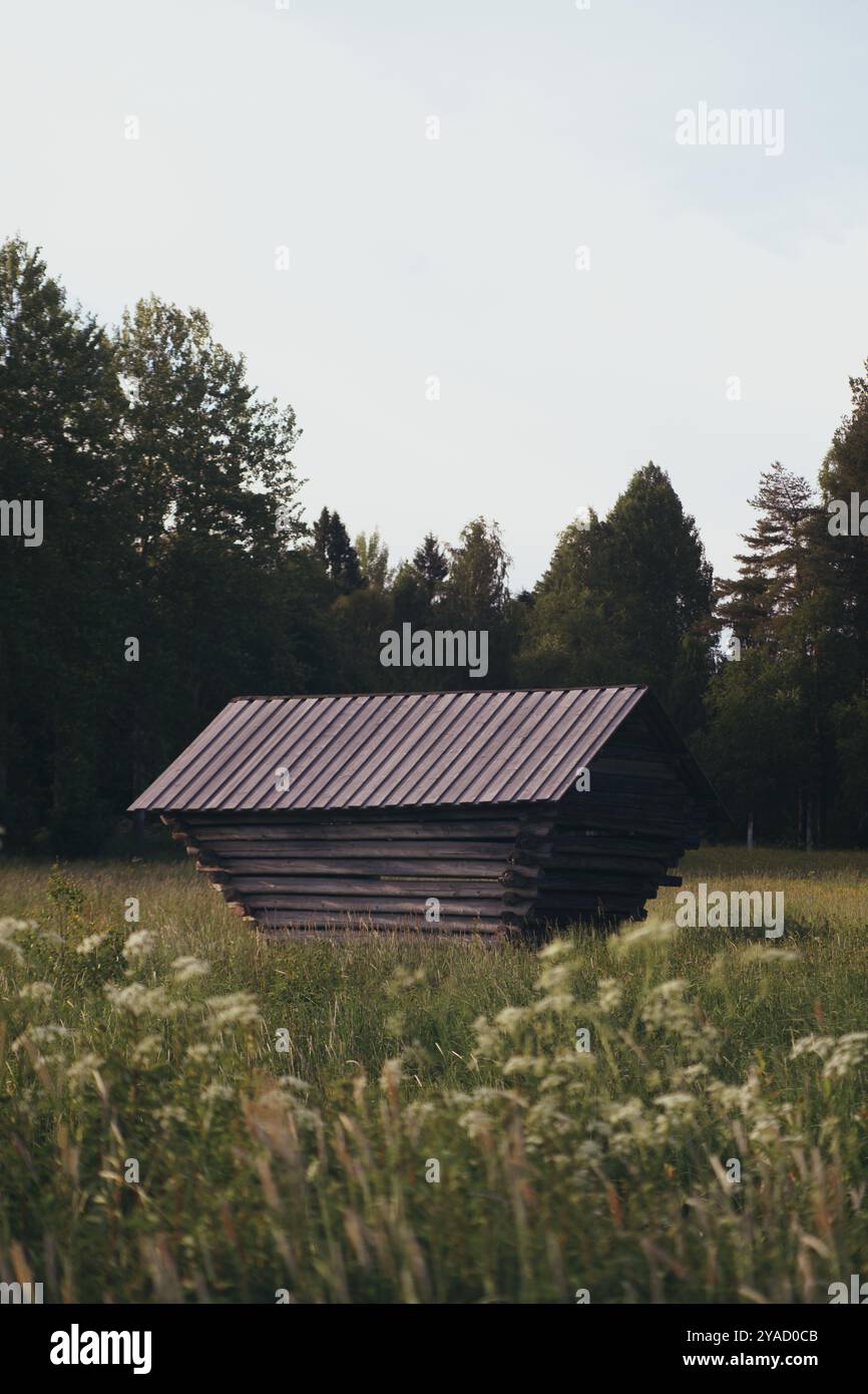 Beautiful swedish barn in the middle of wild meadow Stock Photo - Alamy