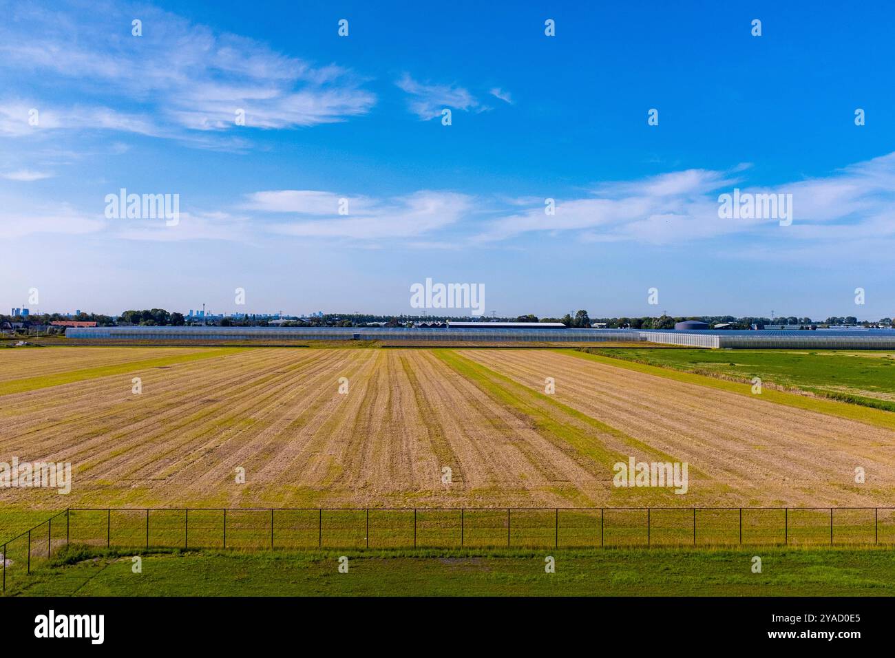 Rural, Agricultural Field Just mowed grassland at an agricultural farm ...