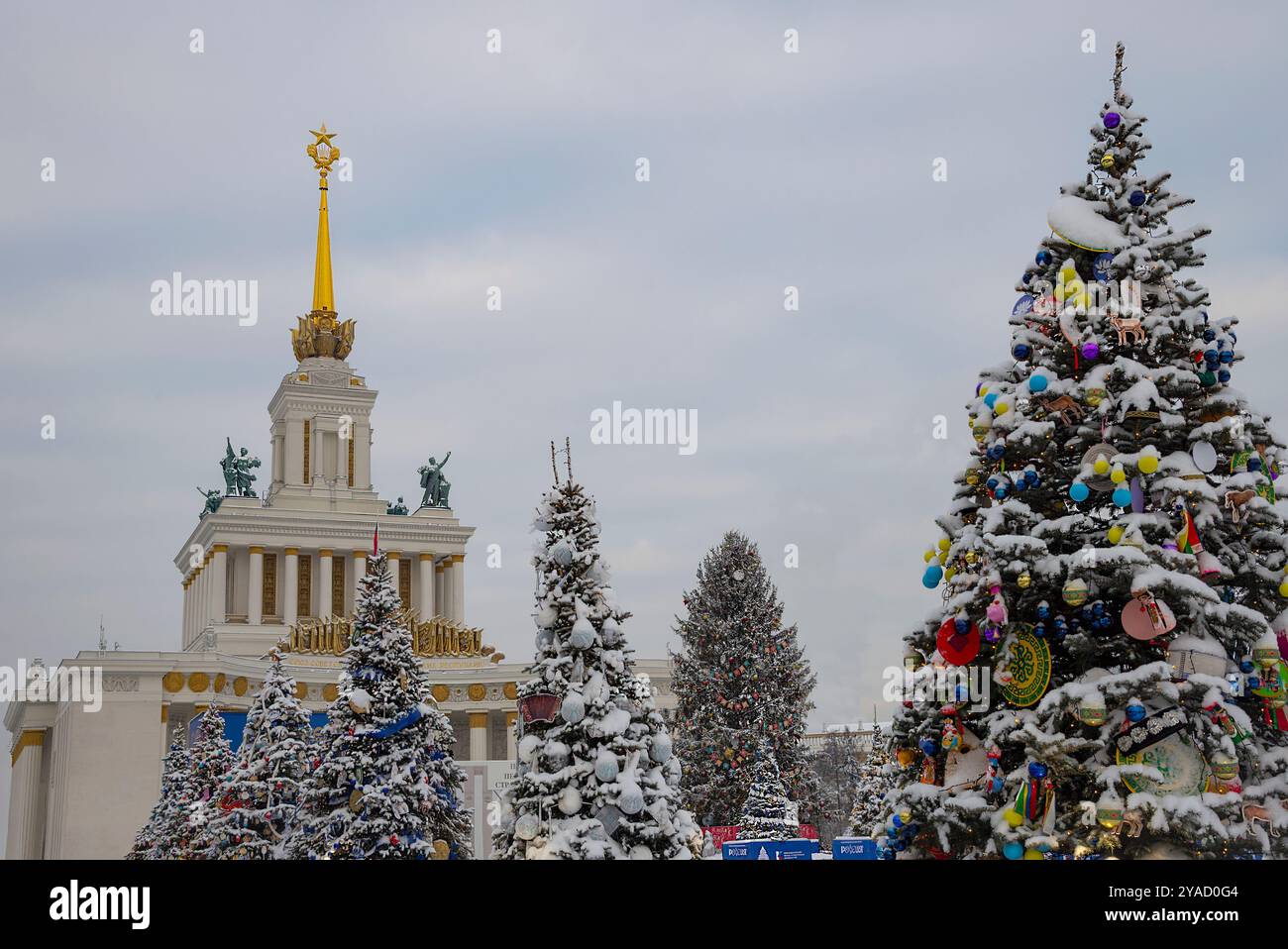 MOSCOW, RUSSIA - JANUARY 06, 2024: New Year trees at the Main Pavilion ...