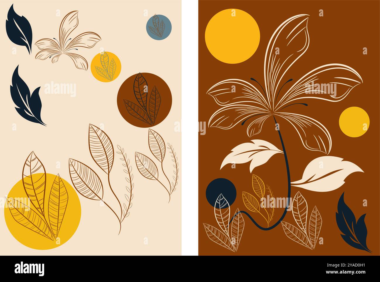 Organic shapes convey hi-res stock photography and images - Alamy