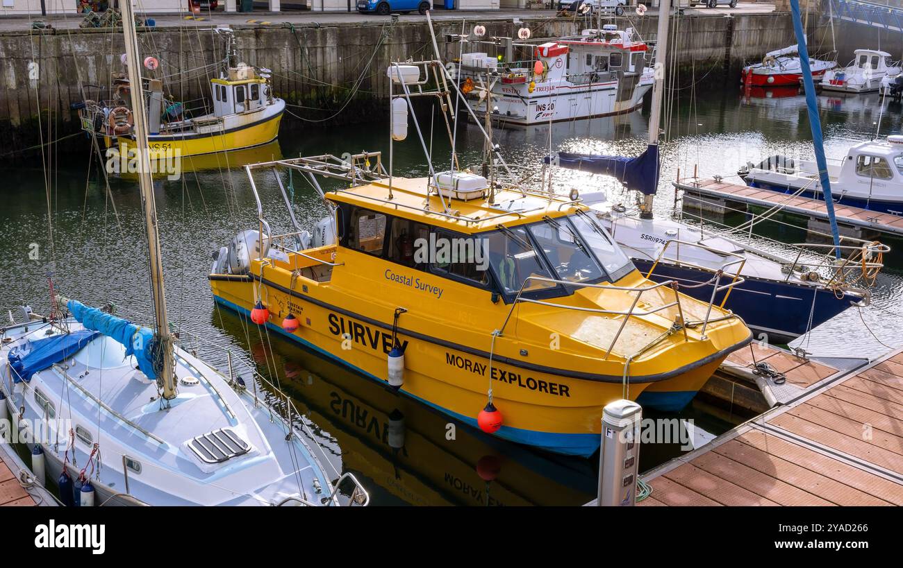 Cheetah survey catamaran hi-res stock photography and images - Alamy