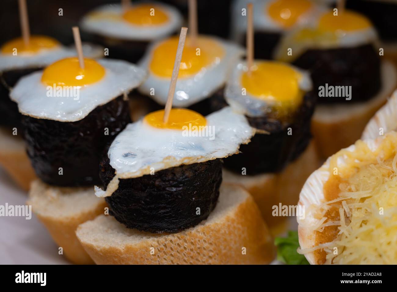 Typical snack of Basque Country, pinchos or pinxtos skewers with small ...