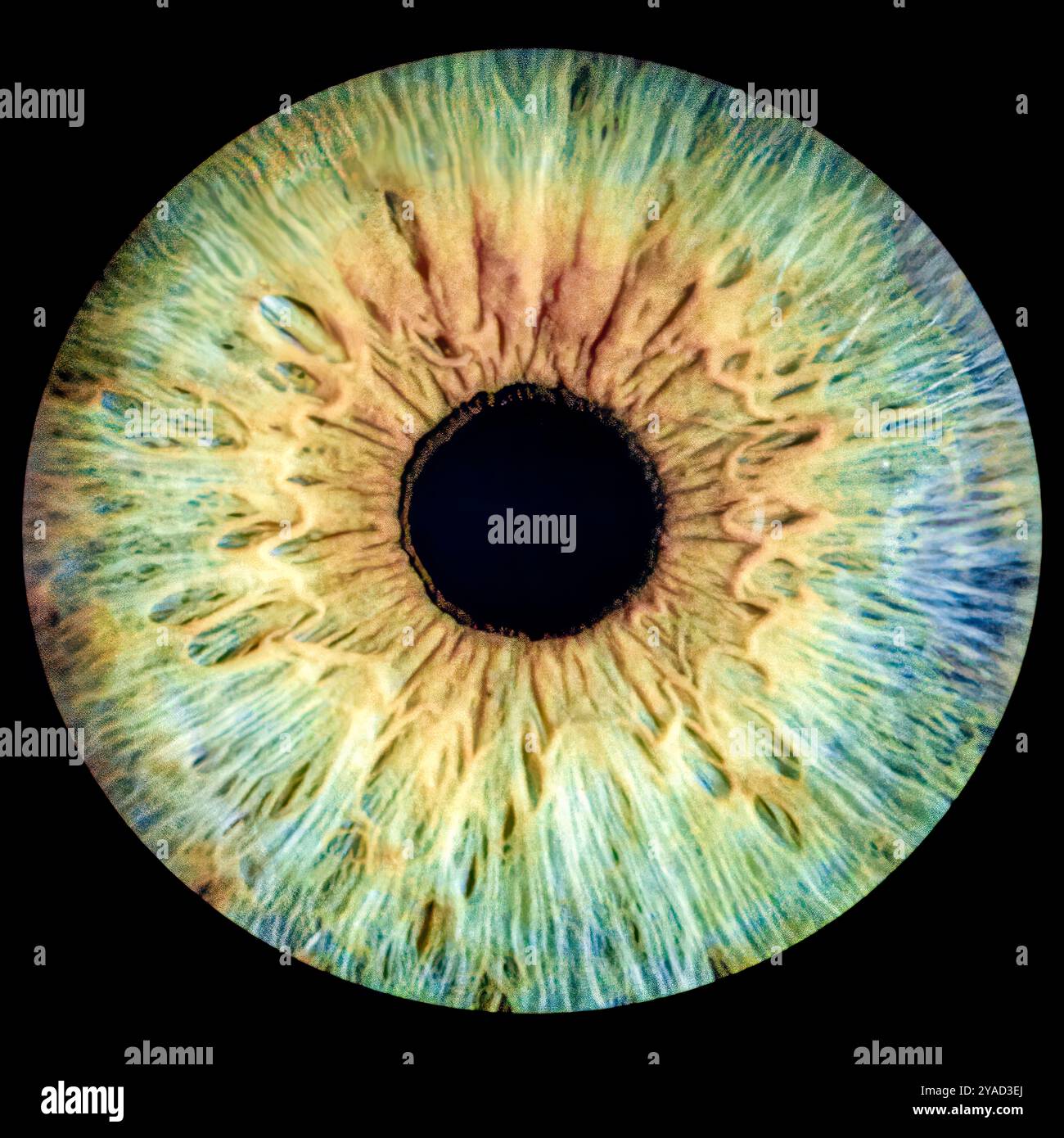 Abstract representation of vibrant textures hi-res stock photography ...