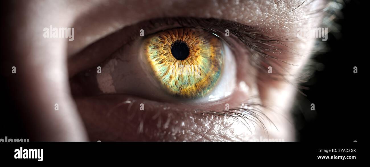 An Exceptional and Stunning CloseUp View of an Eye Featuring Vibrant ...