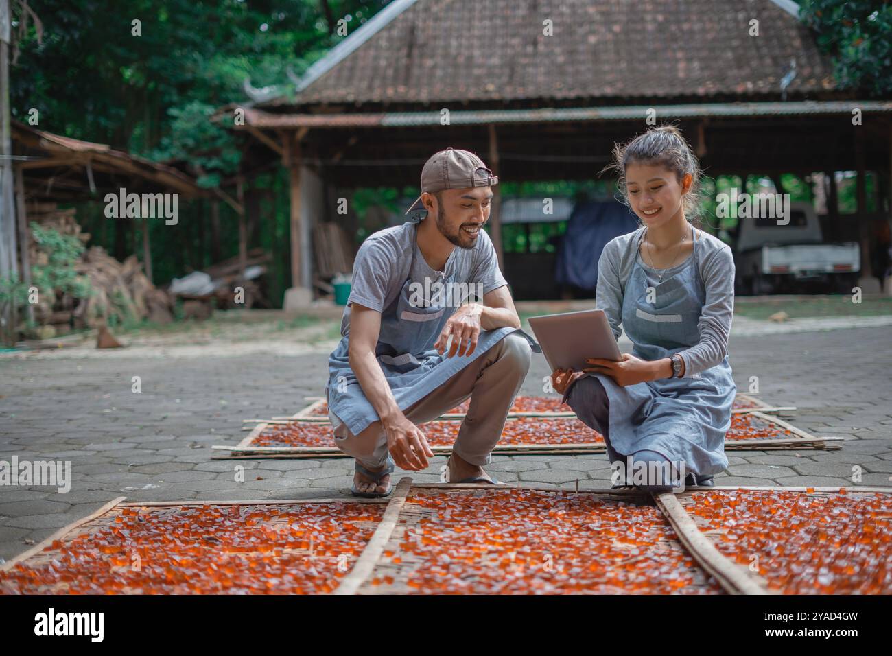 Engaged in harvesting hi-res stock photography and images - Alamy