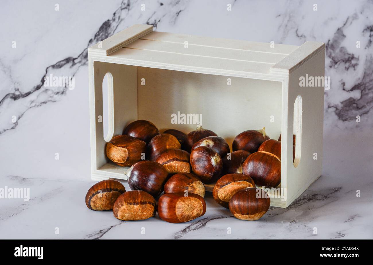 Group of sweet chestnuts isolated. Studio shot.Product photo Stock ...