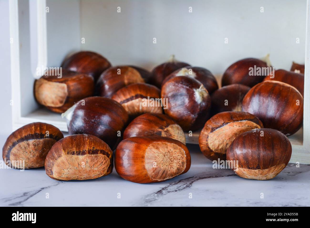 Closeup shot edible chestnuts in hi-res stock photography and images ...