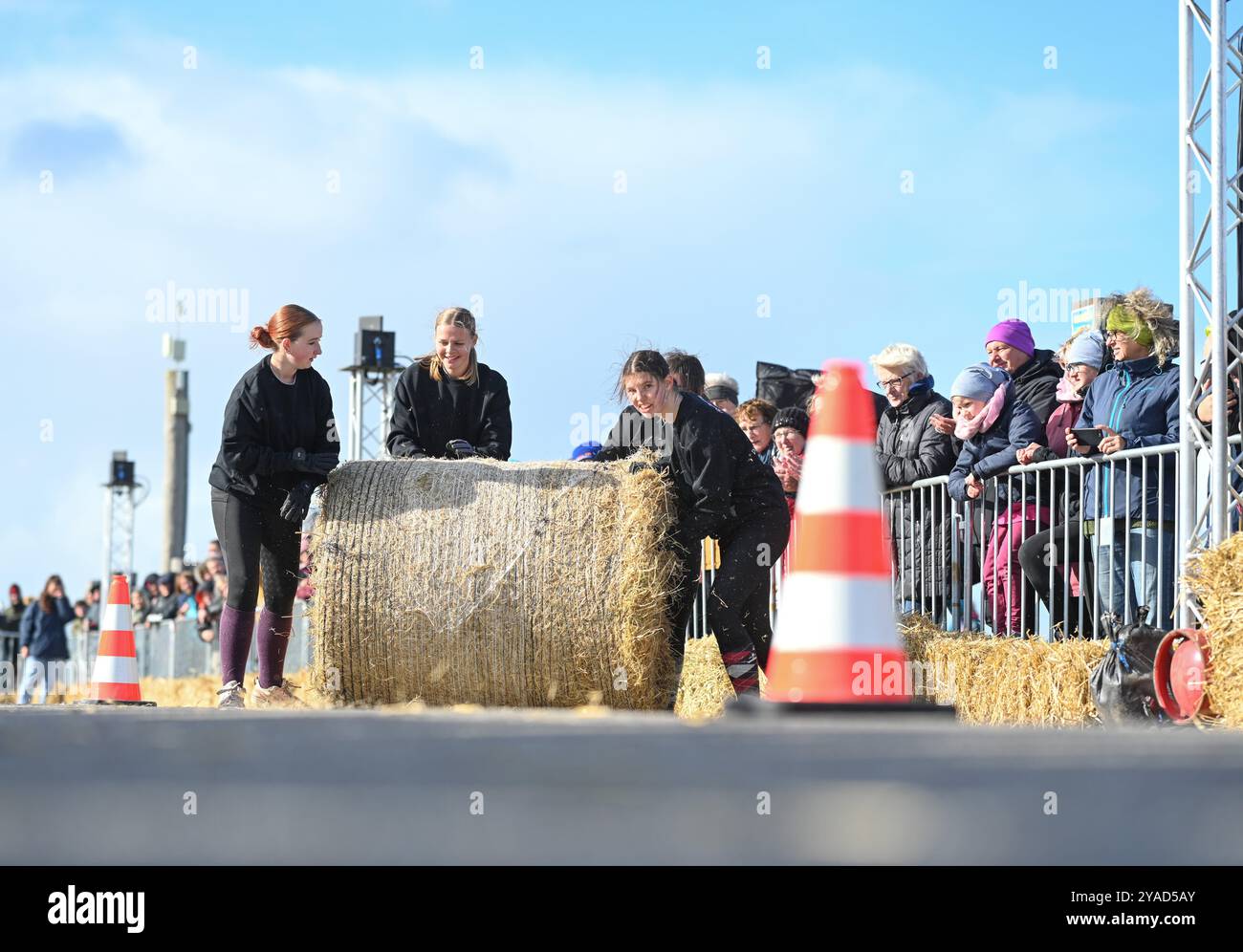 Dornumersiel, Germany. 13th Oct, 2024. The straw bale is rolled up the ...