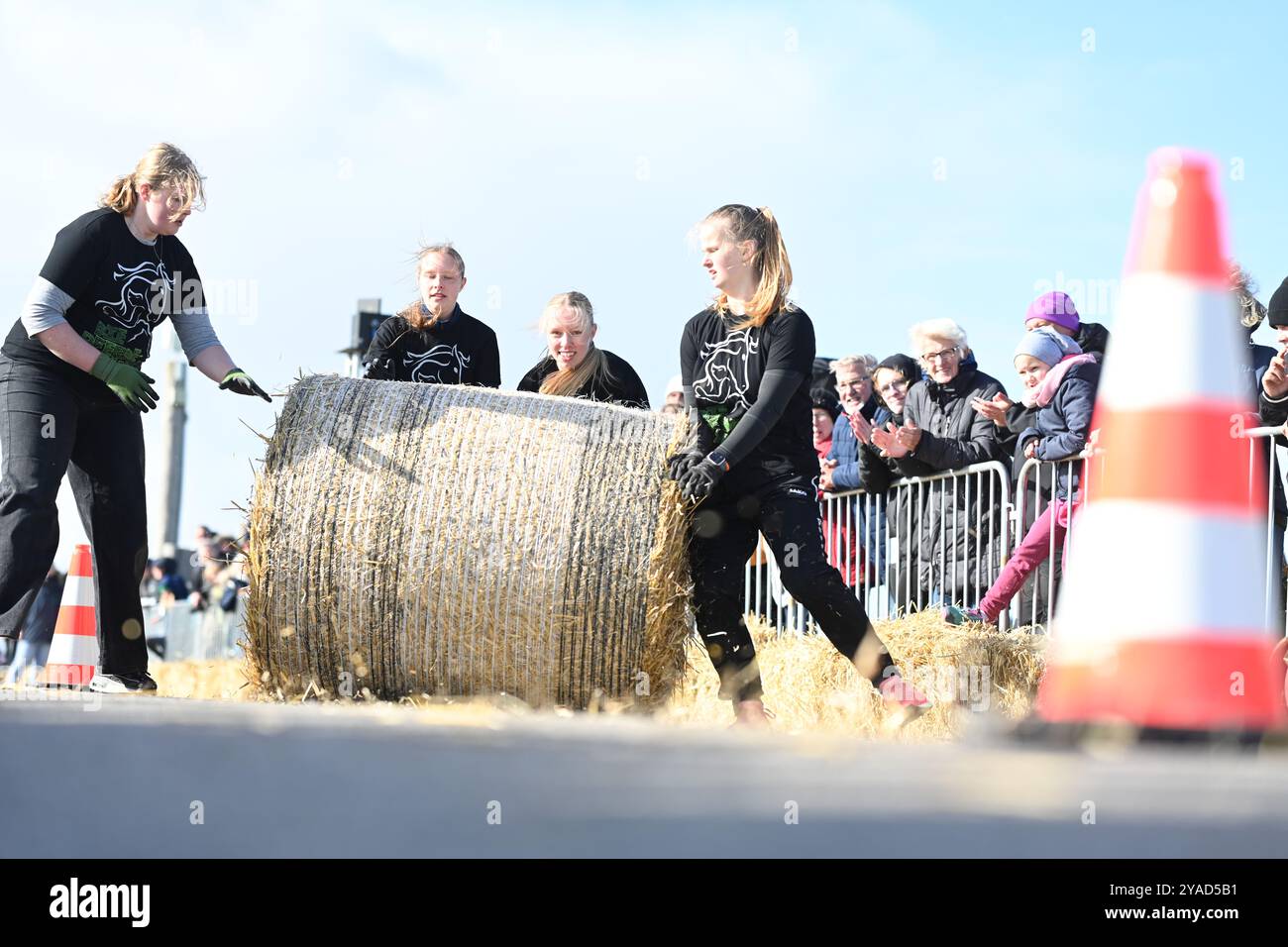 Dornumersiel, Germany. 13th Oct, 2024. The straw bale is rolled up the ...