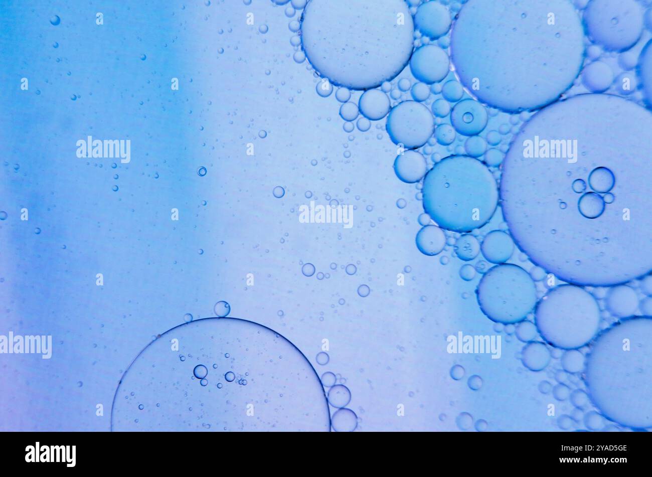 Tiny oil droplets floating on water, creating intricate rings with a ...