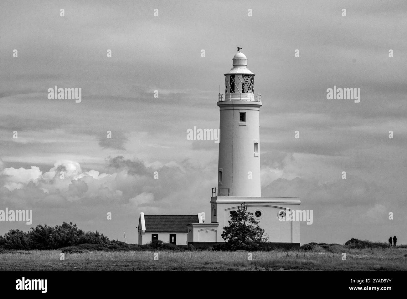 Hurst Point Lighthouse in summer sunshine Stock Photo - Alamy