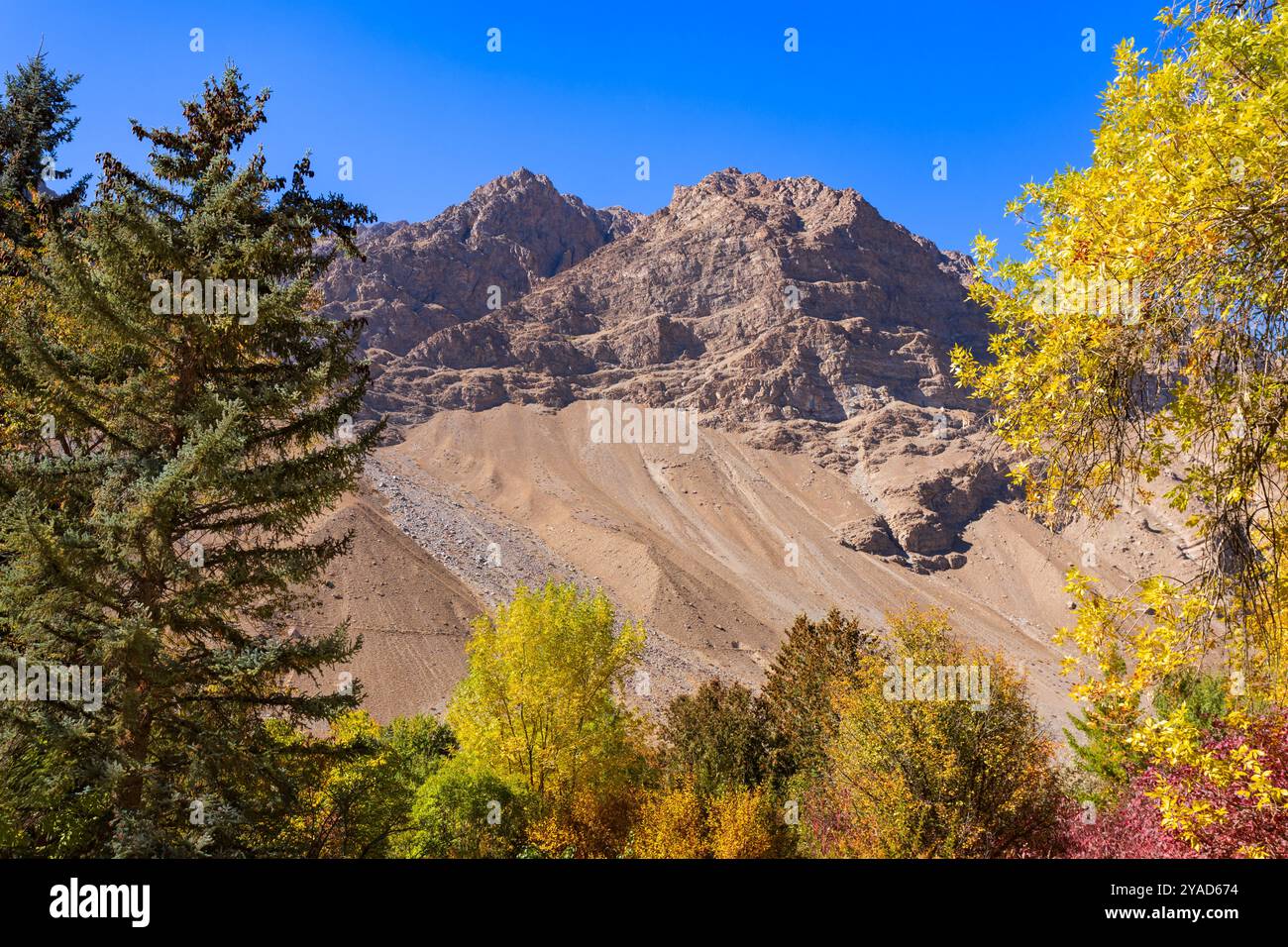 Botanical garden in Khorog city. Khorog is situated along the Pamir ...