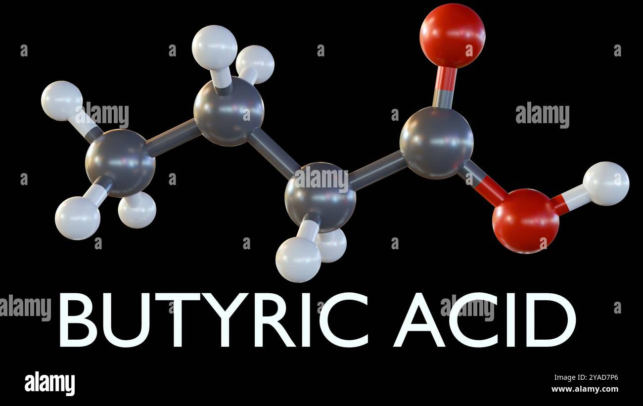 3d rendering of the chemical structure of butyric acid. It is used in ...