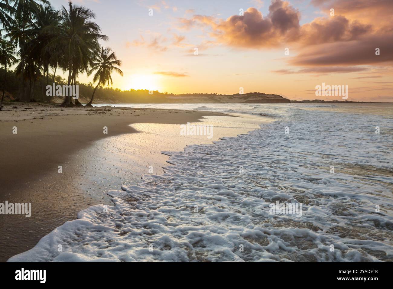 Beautiful summer landscapes on the tropical beach. Vacation background ...