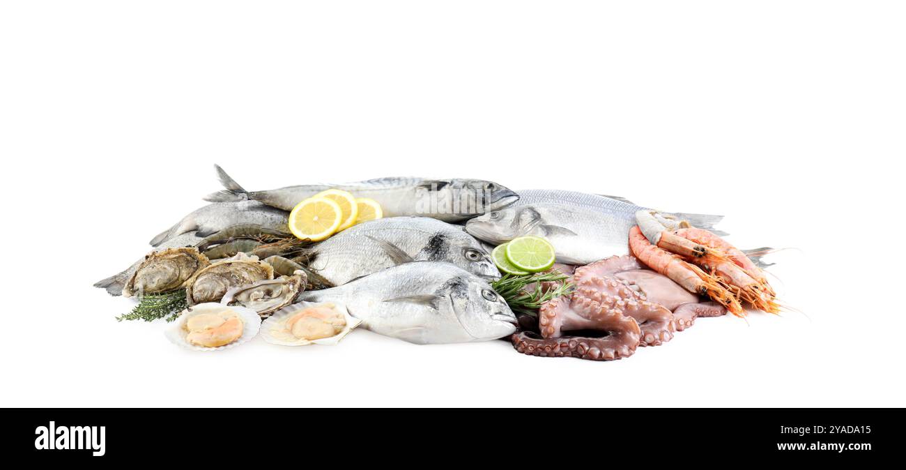 Fresh fish and different sea food isolated on white Stock Photo - Alamy