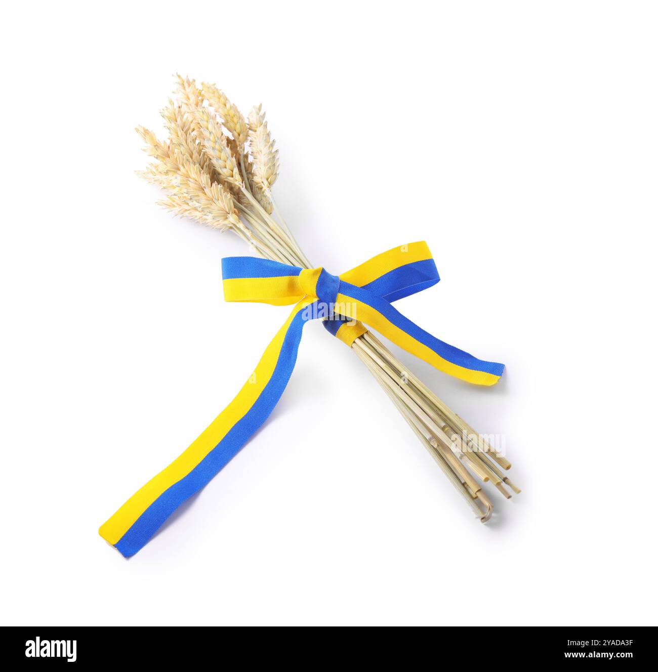 Ears blue yellow wheat Cut Out Stock Images & Pictures - Alamy