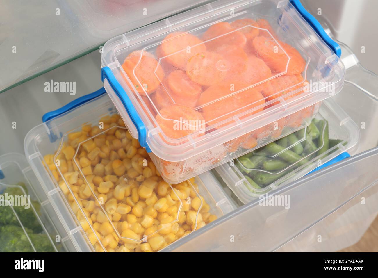 Plastic containers with different frozen vegetables in refrigerator ...