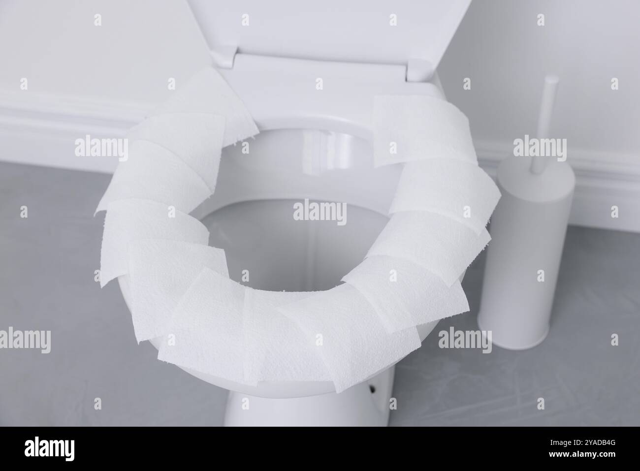 Toilet seat with paper tissues in bathroom Stock Photo - Alamy